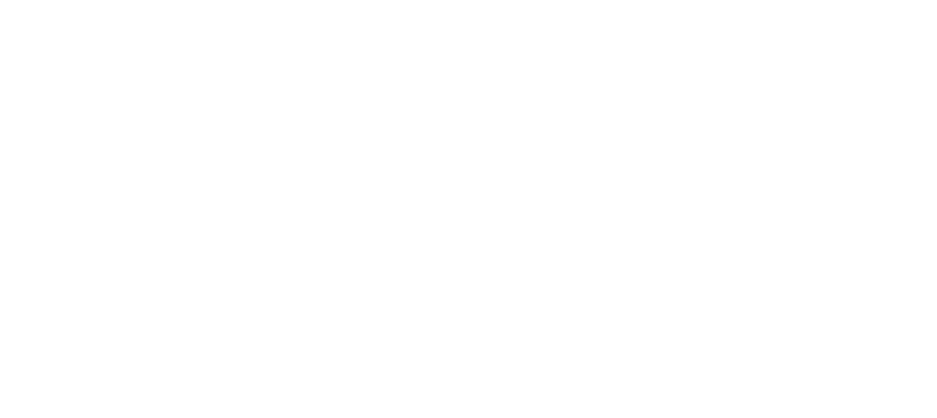 ante up - circular product design